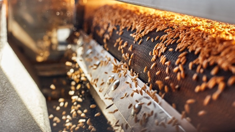 From Field to Feedlot: The Science of Grain Processing for Animal Nutrition